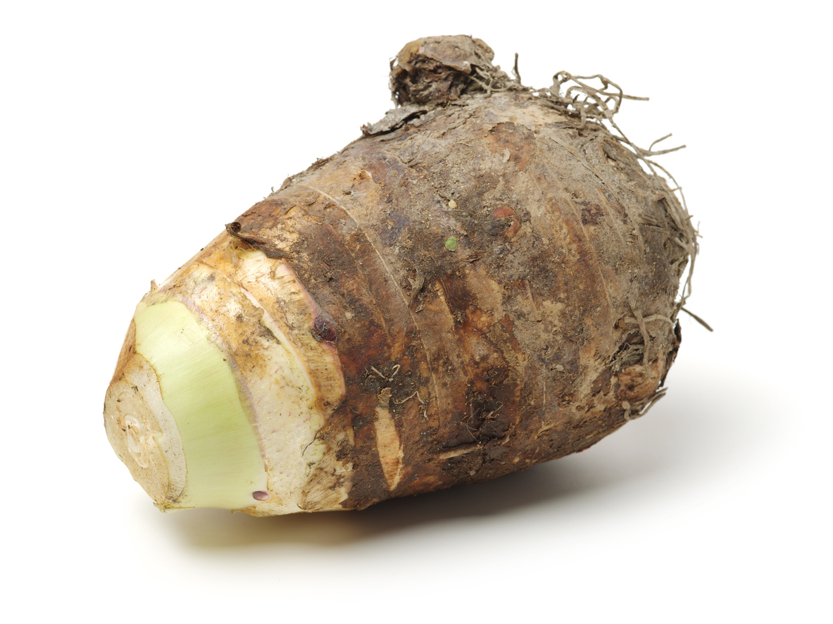 Taro/ Dasheen - Tropical Imports & Exports